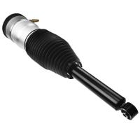 China Rear Passenger Air Suspension Strut for Tesla S 2012 2013 2014 2015 Electric for sale