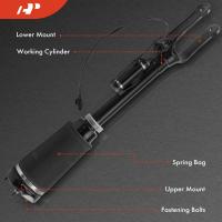 China Front Left or Right Air Suspension Strut for Mercedes-Benz GL320 GL500 ML550 for sale
