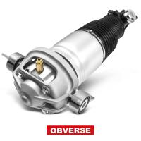 China Rear Passenger Air Suspension Strut for Audi Q7 VW Touareg Porsche Cayenne for sale