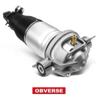 China Rear Passenger Air Suspension Strut for Audi Q7 VW Touareg Porsche Cayenne for sale