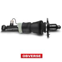 China Rear Passenger Air Suspension Strut for Audi Allroad Quattro 2001-2005 for sale