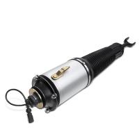 China Front Driver Air Suspension Strut for Audi A8 Quattro 03-10 S8 2003 2007-2009 for sale