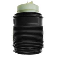 China Rear Passenger Air Suspension Spring Bags for Mercedes-Benz W212 E250 E300 E350 for sale