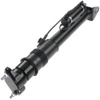 China Rear Driver or Passenger Air Suspension Strut for Mercedes-Benz W251 R320 R350 for sale
