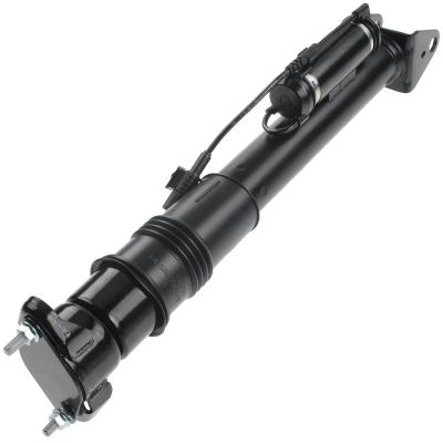 China Rear Driver or Passenger Air Suspension Strut for Mercedes-Benz W251 R320 R350 for sale