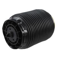 China Rear Driver & Passenger Air Suspension Spring Bags for Hyundai Equus 2011-2016 for sale