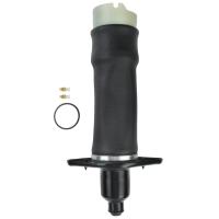 China Rear Driver Air Suspension Spring Bags for Audi Allroad Quattro 2001-2005 Wagon for sale