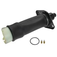 China Rear Driver Air Suspension Spring Bags for Audi Allroad Quattro 2001-2005 Wagon for sale
