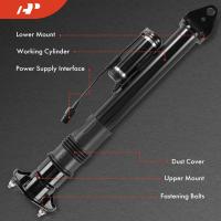 China Rear Left or Right Air Suspension Strut for Mercedes-Benz X164 W164 GL320 for sale