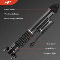 China Rear Left or Right Air Suspension Strut for Mercedes-Benz X166 GL350 W166 ML550 for sale
