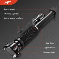 China Front Passenger Air Suspension Strut for Mercedes-Benz S450 S500 S550 S560 14-20 for sale