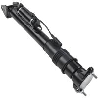 China Rear Driver or Passenger Air Suspension Strut for Mercedes-Benz X164 GL320 ML320 for sale