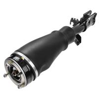 China Front Driver Air Suspension Strut for Land Rover Range Rover 2006-2012 without VDS for sale