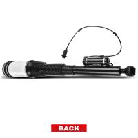 China Rear Driver or Passenger Air Suspension Strut for Mercedes-Benz W220 S430 S500 for sale