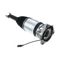 China Rear Driver Air Suspension Strut for Bentley Continental 03-18 VW Phaeton for sale