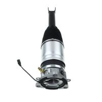 China Rear Driver Air Suspension Strut for Bentley Continental 03-18 VW Phaeton for sale