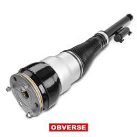 China Rear Driver Air Suspension Strut for Mercedes-Benz Maybach S550 S560 S600 650 for sale