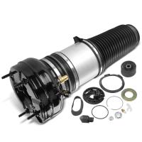 China Rear Left or Right Air Suspension Strut for Audi A8 Quattro 11-18 for sale