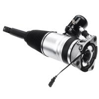 China Rear Driver Air Suspension Strut for Audi A8 Quattro 2003-2009 4.2L 6.0L for sale