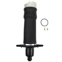 China Rear Passenger Air Suspension Spring Bags for Audi Allroad Quattro 2001-2005 for sale