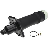 China Rear Passenger Air Suspension Spring Bags for Audi Allroad Quattro 2001-2005 for sale