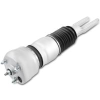 China Front Passenger Air Suspension Strut for Porsche Panamera 2010-2016 for sale
