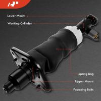 China Rear Driver or Passenger Air Suspension Strut for Land Rover LR3 05-09 LR4 10-16 for sale