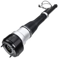 China Rear Passenger Air Suspension Strut for Mercedes-Benz C216 CL550 W221 S350 for sale