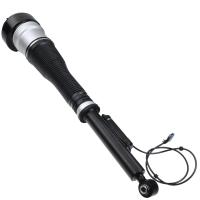 China Rear Passenger Air Suspension Strut for Mercedes-Benz C216 CL550 W221 S350 for sale