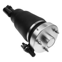 China Rear Driver Air Suspension Strut for Ford Expedition Lincoln Navigator 03-06 for sale