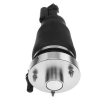 China Rear Driver Air Suspension Strut for Ford Expedition Lincoln Navigator 03-06 for sale