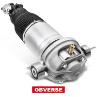 China Rear Driver Air Suspension Strut for Audi Q7 VW Touareg Porsche Cayenne for sale