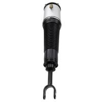 China Front Passenger Air Suspension Strut for Audi A8 Quattro 03-10 S8 2003 2007-2009 for sale