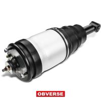 China Rear Driver or Passenger Air Suspension Strut for Land Rover LR3 05-09 LR4 for sale