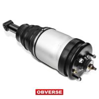 China Rear Driver or Passenger Air Suspension Strut for Land Rover LR3 05-09 LR4 for sale