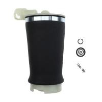 China Rear Driver or Passenger Air Suspension Spring Bags for Ford F-150 00-03 F-250 for sale