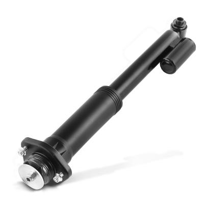 China Rear Passenger Magnetic Shock Absorber for Land Rover Range Rover 2003-2012 for sale