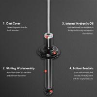 China 2x Rear Shock Absorber for Honda Accord 1998-2002 Acura CL TL for sale