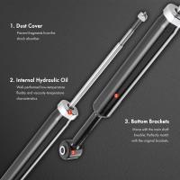 China 2x Rear Driver & Passenger Shock Absorber for Dodge Challenger Charger for sale