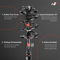 China 2x Front Complete Strut & Coil Spring Assembly for Mitsubishi Outlander 07-09 for sale
