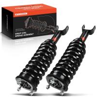 China 2x Front Complete Strut & Coil Spring Assembly for Dodge Dakota Mitsubishi 4WD for sale