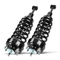 China 2x Front Complete Strut & Coil Spring Assembly for Ford Explorer Mercury Mountaineer for sale