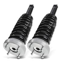 China 2x Rear Complete Strut & Coil Spring Assembly for Jaguar Super V8 Vanden Plas XJ for sale