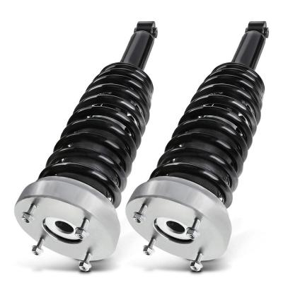 China 2x Rear Complete Strut & Coil Spring Assembly for Jaguar Super V8 Vanden Plas XJ for sale