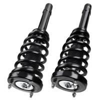 China 2x Front Complete Strut & Coil Spring Assembly for Hyundai Azera 06-11 Sonata 06-10 for sale