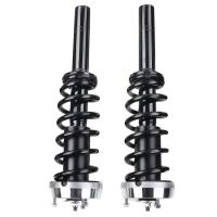 China 2x Front Complete Strut & Coil Spring Assembly for BMW X5 2007-2013 X6 2008-2014 for sale