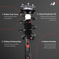 China 2x Front Complete Strut & Coil Spring Assembly for BMW E60 530i 525i 528i 535i for sale