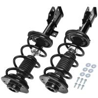 China 2x Front Complete Strut & Coil Spring Assembly for Chevrolet Equinox 2010-2017 for sale
