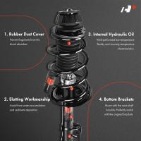 China 2x Front Complete Strut & Coil Spring Assembly for Scion xD 2008-2010 Hatchback for sale
