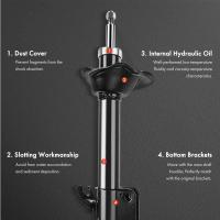 China 2x Front Shock Absorber Strut for Acura RL 2005-2012 Sedan for sale
